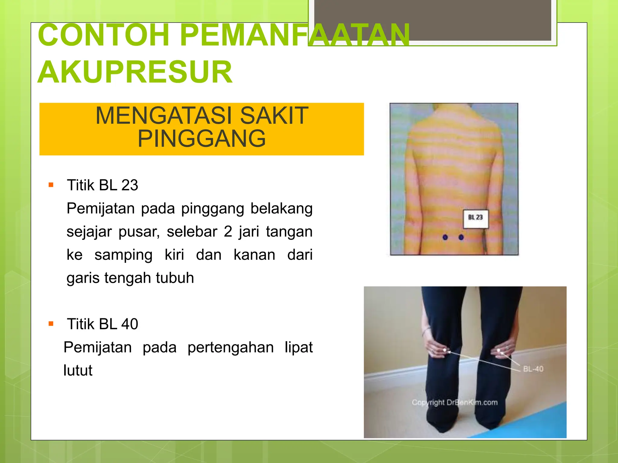 PRESENTASI PEMANFAATAN TOGA DAN AKUPRESERE .ppt