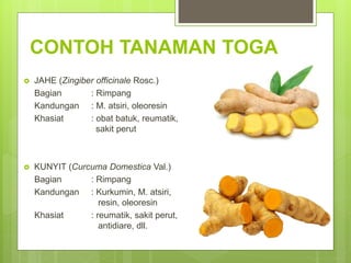 PRESENTASI PEMANFAATAN TOGA DAN AKUPRESERE .ppt