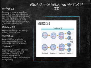 PRESENTASI PEMBELAHAN SEL.pptx