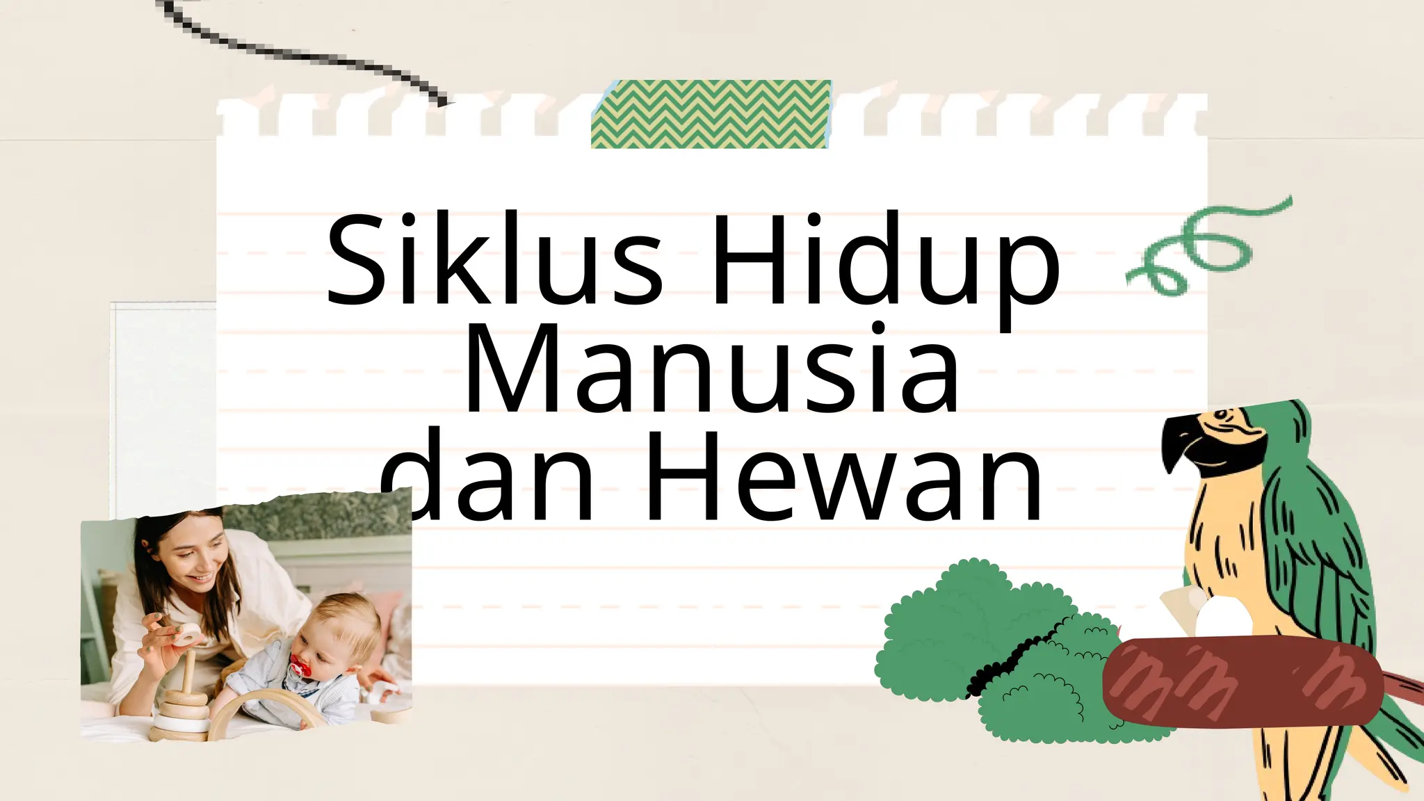Presentasi Pendidikan Siklus Hidup Manusia dan Hewan Gaya Kolase Rapi ...
