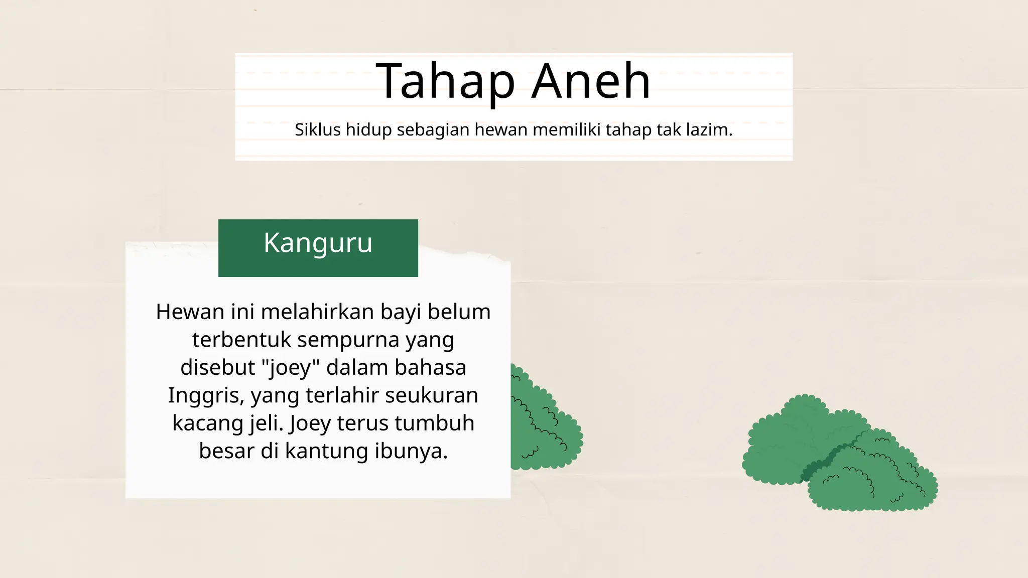 Presentasi Pendidikan Siklus Hidup Manusia dan Hewan Gaya Kolase Rapi ...