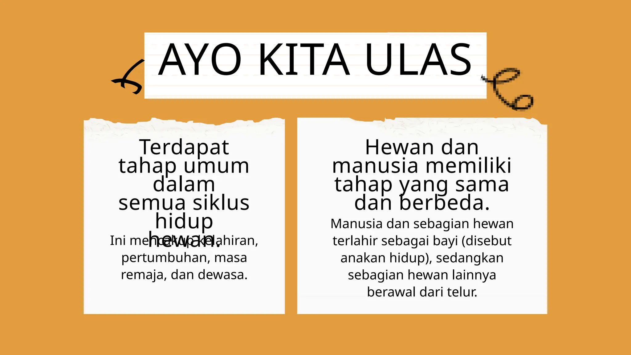 Presentasi Pendidikan Siklus Hidup Manusia dan Hewan Gaya Kolase Rapi ...