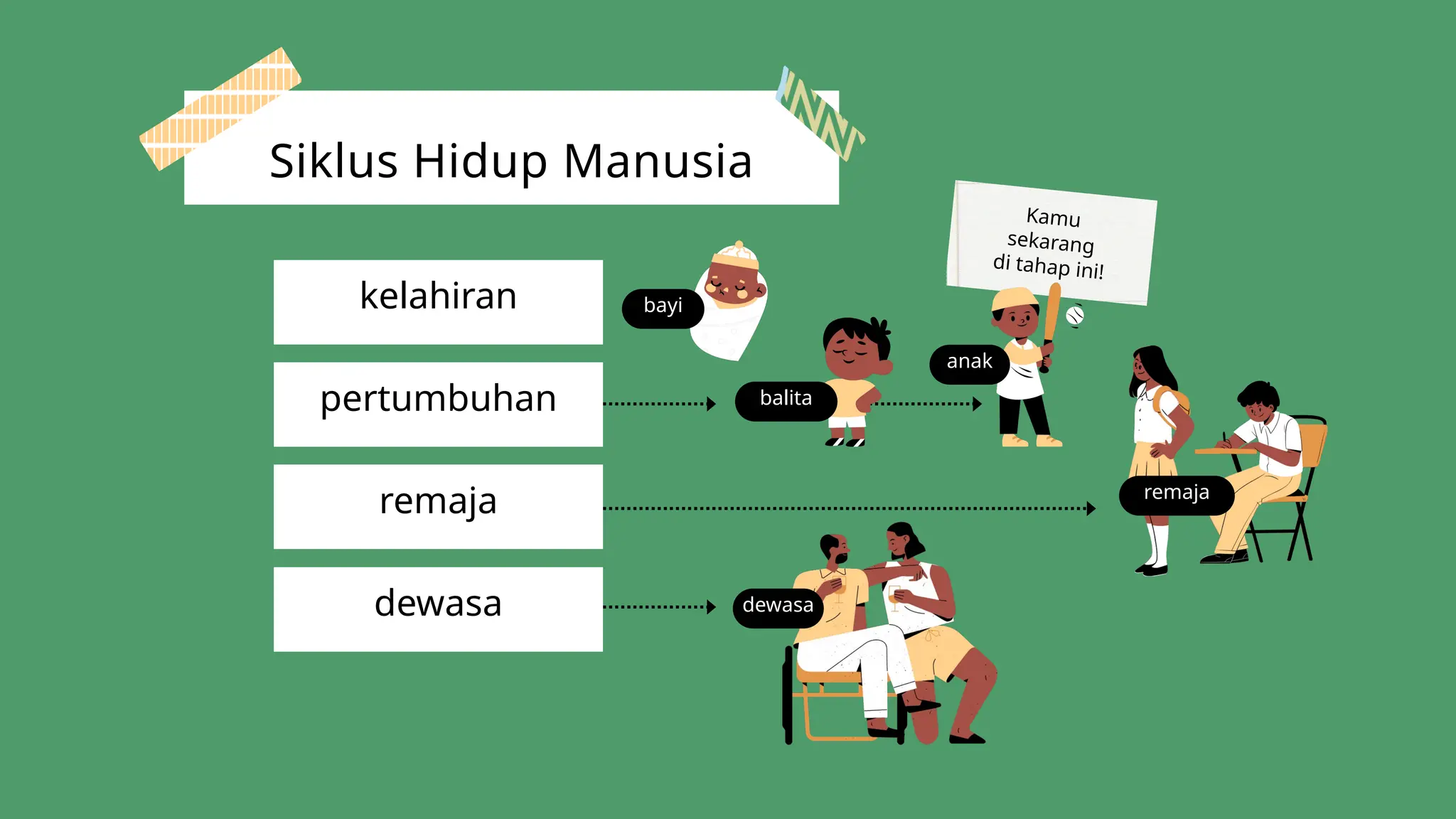 Presentasi Pendidikan Siklus Hidup Manusia dan Hewan Gaya Kolase Rapi ...