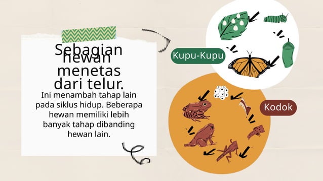 Presentasi Pendidikan Siklus Hidup Manusia dan Hewan Gaya Kolase Rapi ...