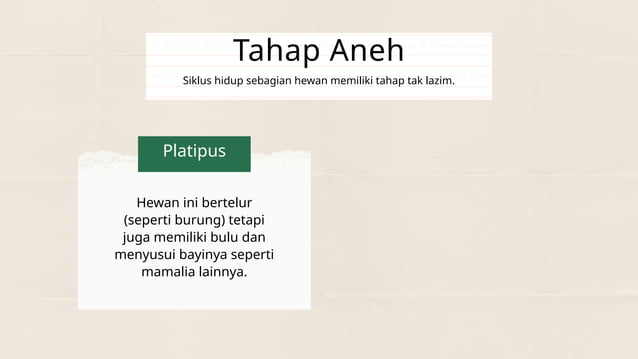 Presentasi Pendidikan Siklus Hidup Manusia dan Hewan Gaya Kolase Rapi ...