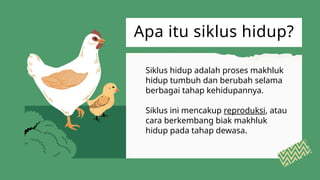 Presentasi Pendidikan Siklus Hidup Manusia dan Hewan Gaya Kolase Rapi ...