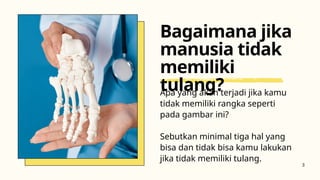 Presentasi Pendidikan Sistem Rangka Bergaris Krem Kuning Biru.pptx