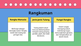 Memahami Sistem Rangka Manusia: Struktur, Fungsi, dan Jenis Tulang | PPTX