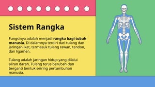 Memahami Sistem Rangka Manusia: Struktur, Fungsi, dan Jenis Tulang | PPTX