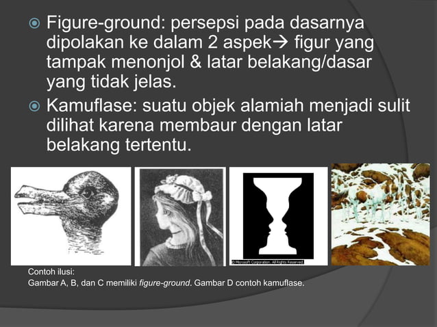 Presentasi persepsi | PPTX