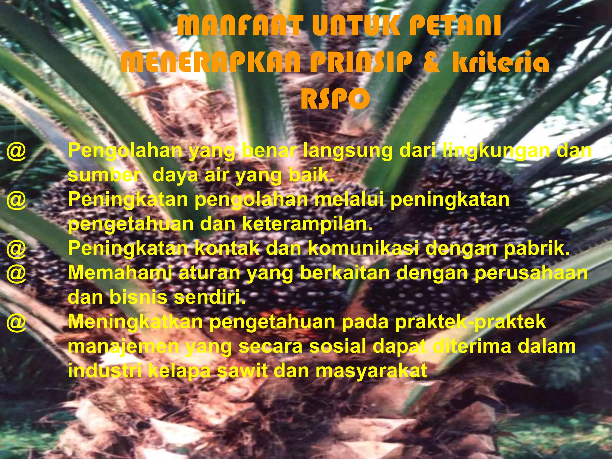 Presentasi pertama rspo | PPTX
