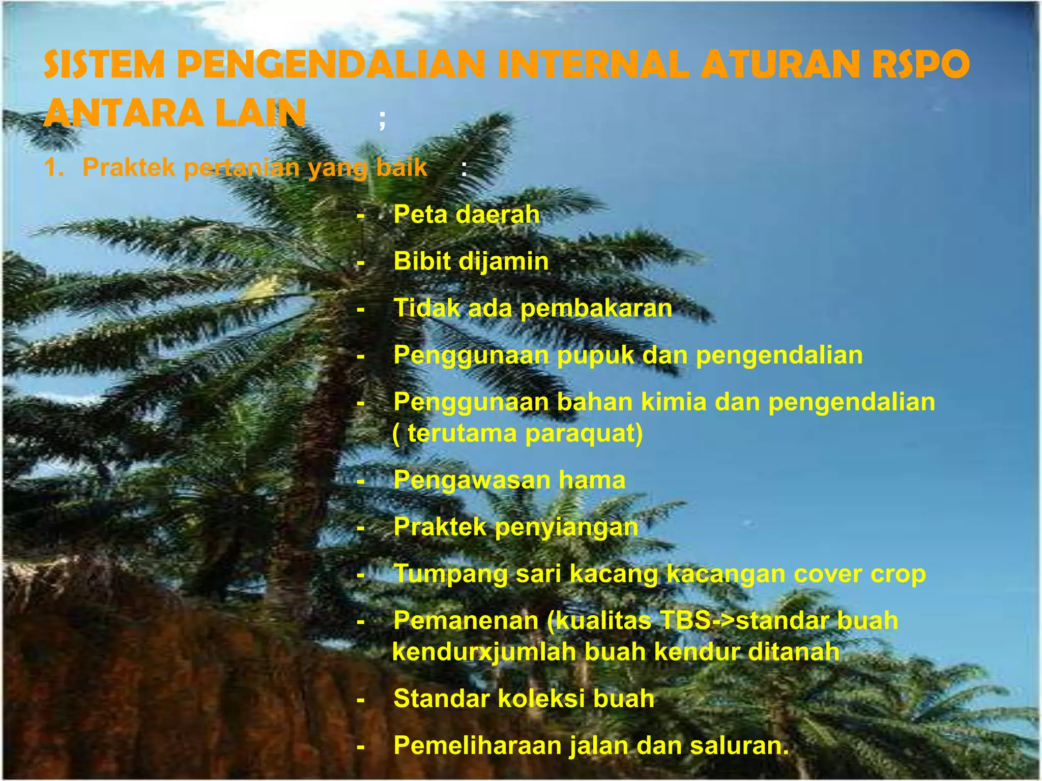 Presentasi pertama rspo | PPTX