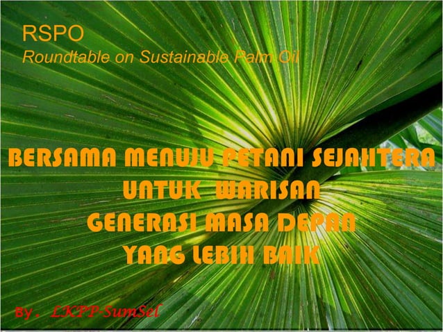 Presentasi pertama rspo | PPTX