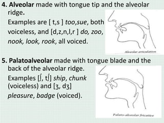 presentasion_phonetics_and_phonology.ppt