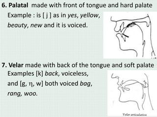 presentasion_phonetics_and_phonology.ppt