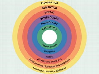 presentasion_phonetics_and_phonology.ppt