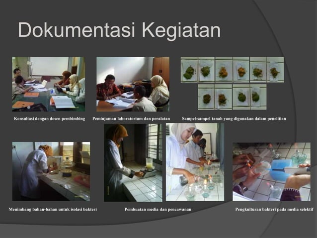 Presentasi PKM_03 bakteri pelepas logam emas.ppt