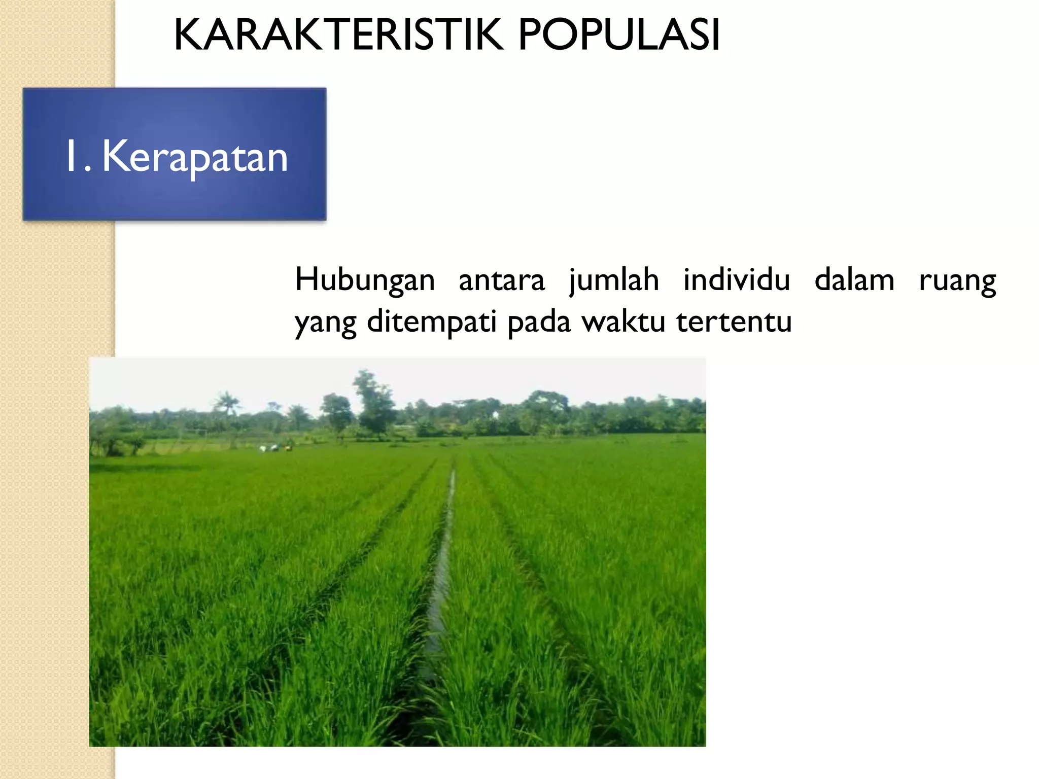 karakteristik populasi | PPTX