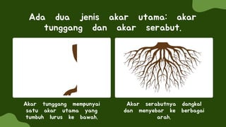 Presentasi Bagian-bagian Tumbuhan dan Fungsinya | PPTX