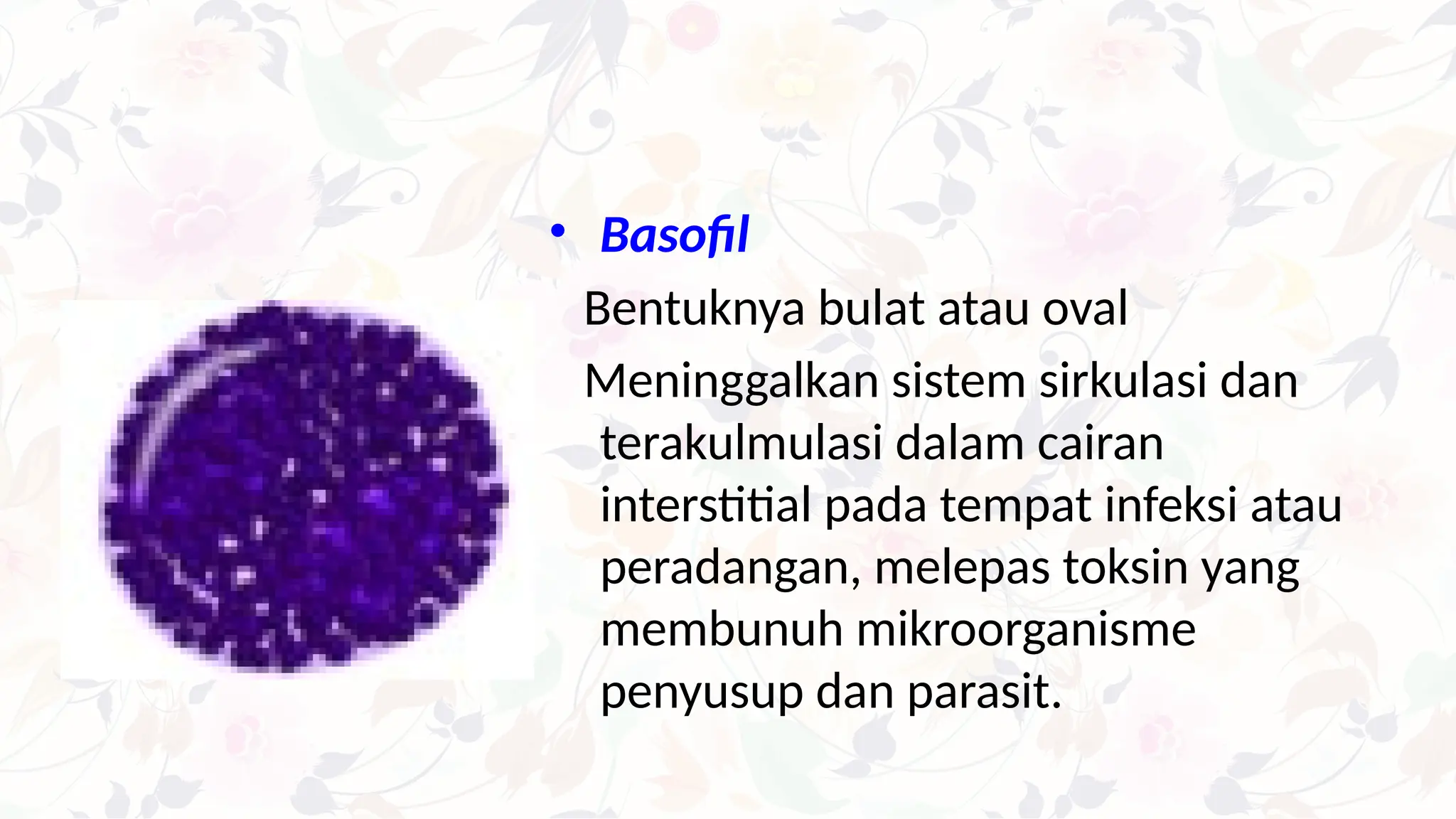 PRESENTASI_PPT_Powerpoint_DARAH_Blood_pp.pptx