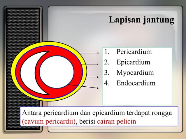 PRESENTASI_PPT_Powerpoint_Jantung_cor_pp.ppt