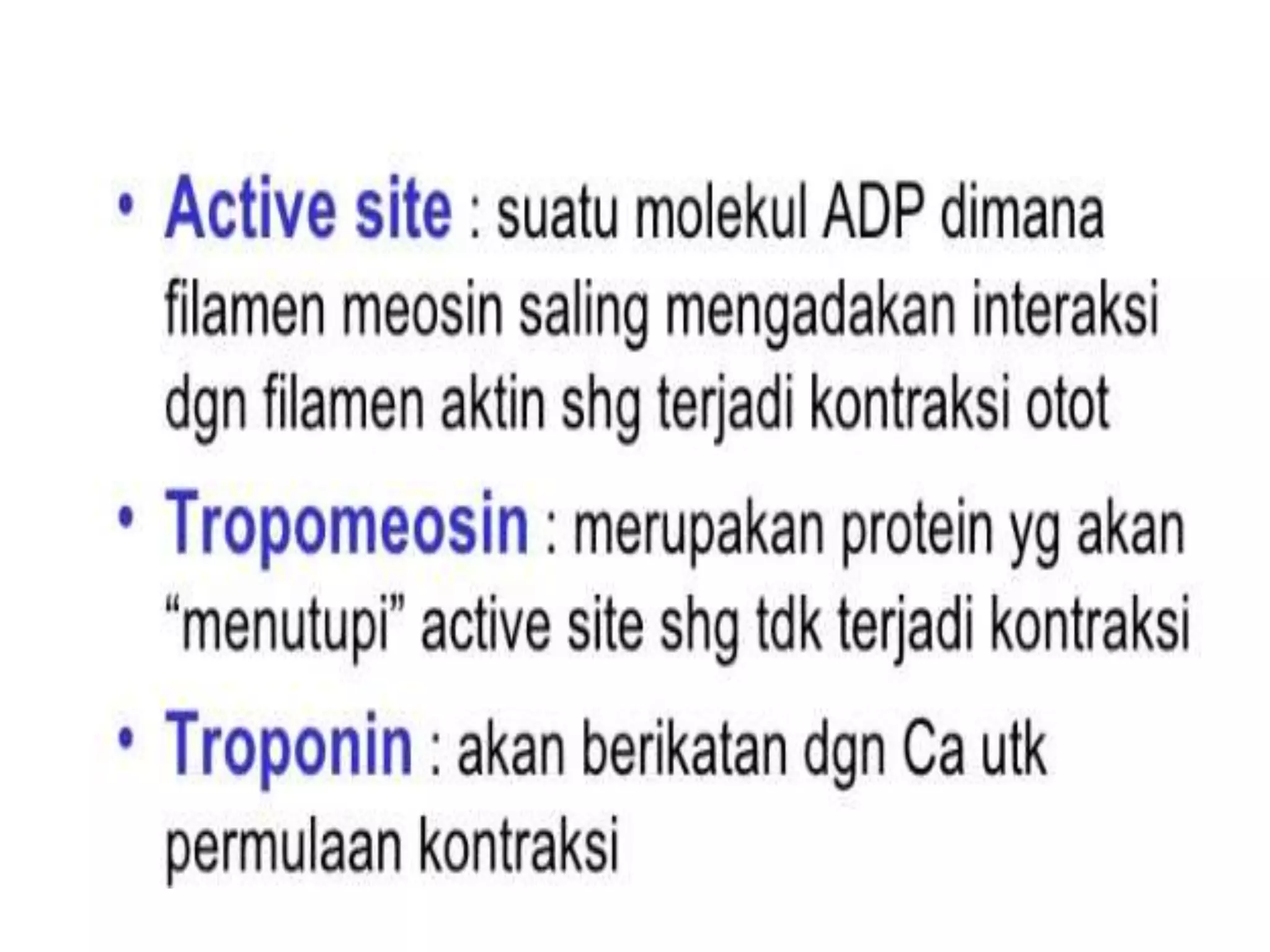 PRESENTASI_PPT_Powerpoint_OTOT_Muscles_p.pptx