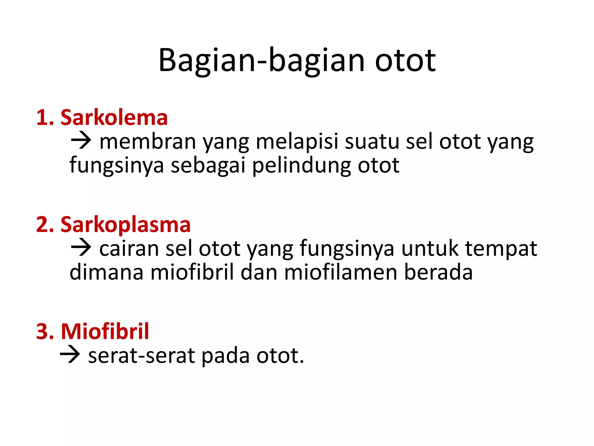 PRESENTASI_PPT_Powerpoint_OTOT_Muscles_p.pptx