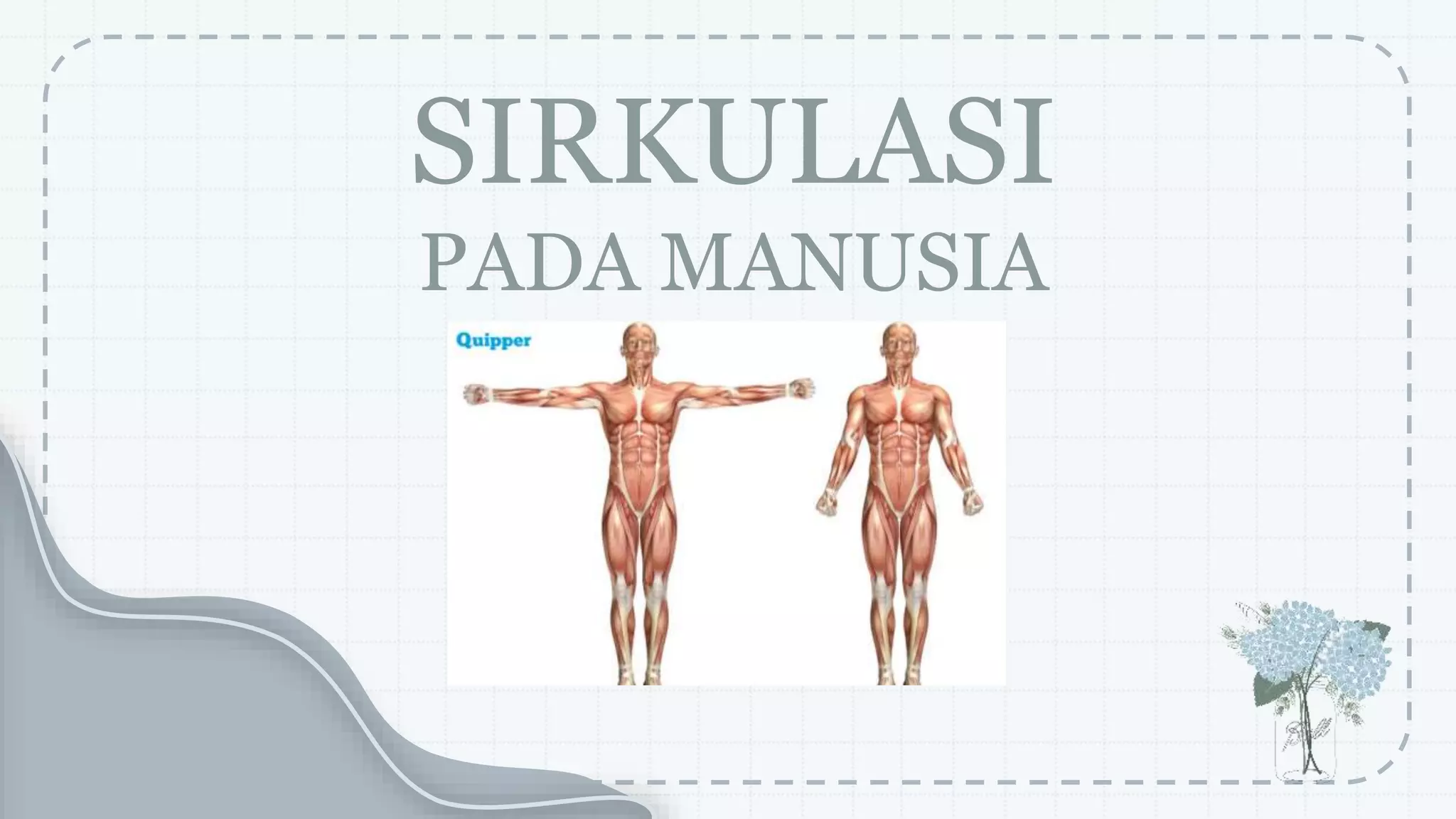 PRESENTASI PPT SISTEM SIRKULASI [Autosaved].pptx