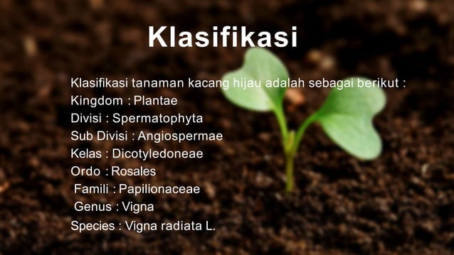 Presentasi Proposal Mini Riset Sigit WD.pptx