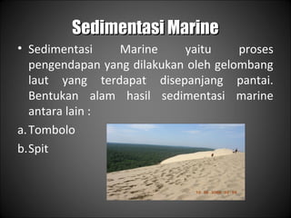 Sedimentasi | PPT