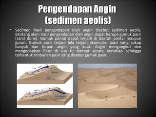 Sedimentasi | PPT