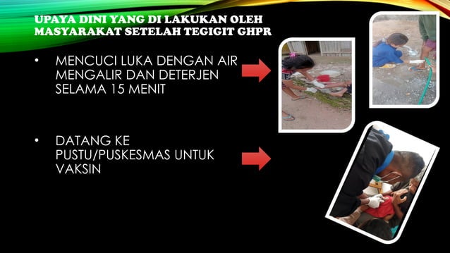 Presentasi Rabies PKM OInlasi 2024..pptx