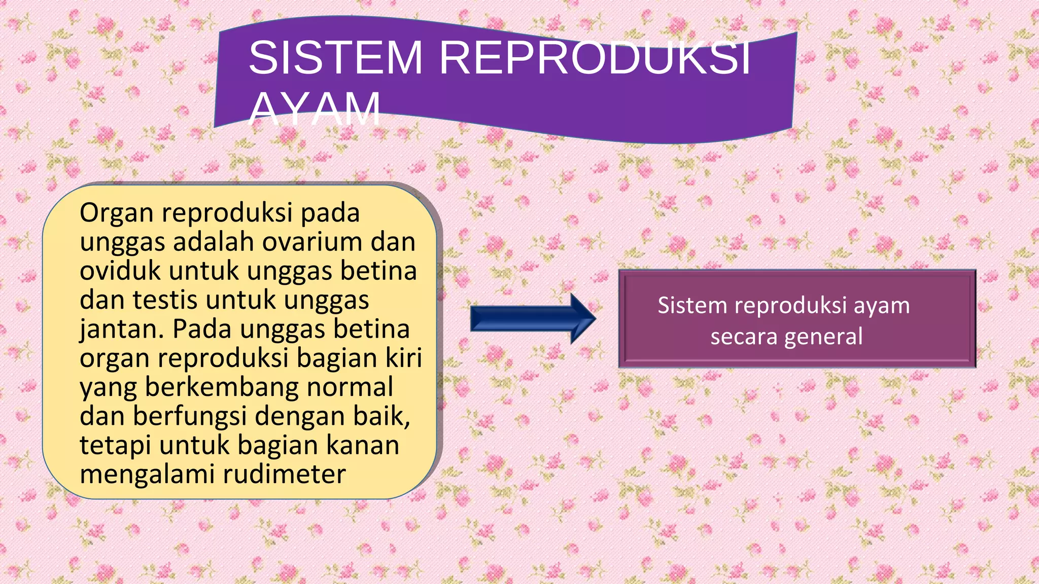 Presentasi Reproduksi Aves | PPT