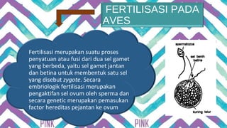 Presentasi Reproduksi Aves | PPT