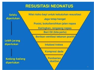 PRESENTASI Resusitasi Neonatus | PPT