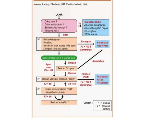 PRESENTASI_Alur_Resusitasi_Neonatuss.ppt