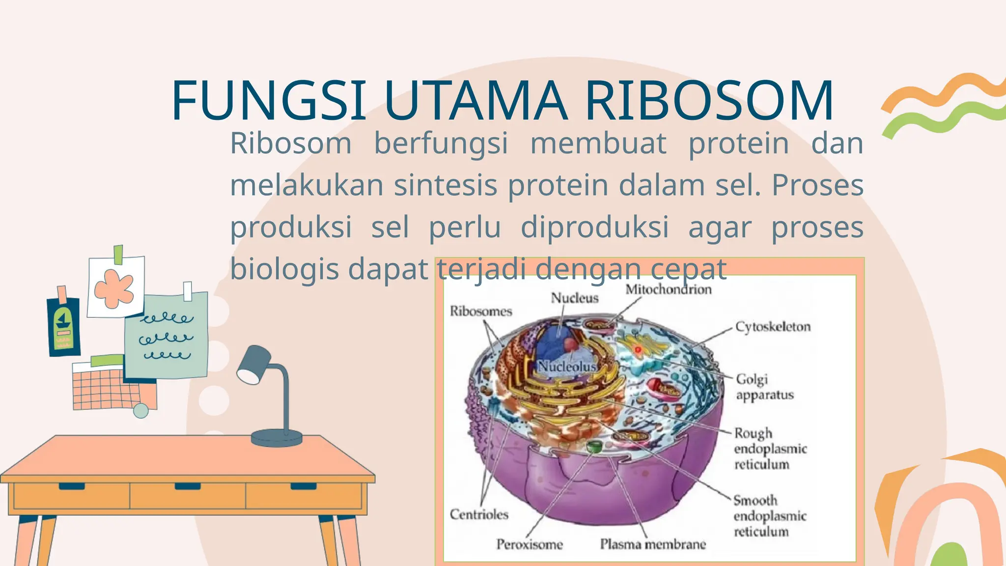 PRESENTASI RIBOSOM BIOLOGI.pptxhhhhhhhhh | PPTX