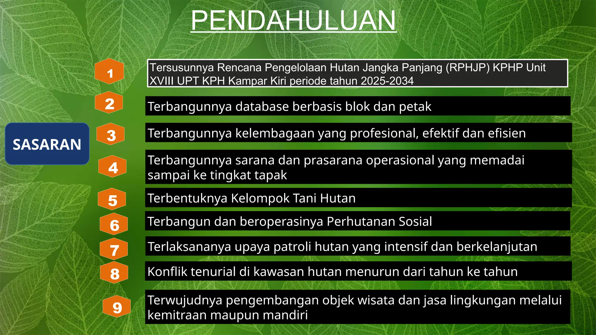 Presentasi RPHJP KPHP KAMPAR KIRI2025.pptx