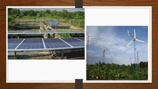 BUDAYA SATRIYA TERHADAP PLTH DI YOGYAKARTA | PPT