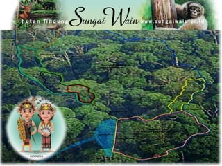 Presentasi PLH Hutan Lindung Sungai Wain.pptx