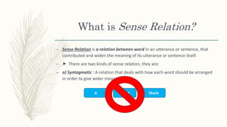 Semantics - Dimensions of Meaning | PPTX