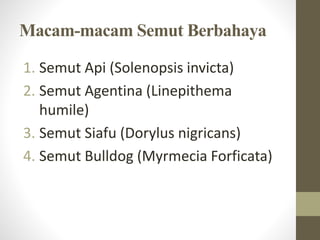 SEMUT DAN PENGENDALIANNYA | PPTX