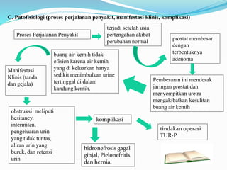 post op Tur-p | PPTX