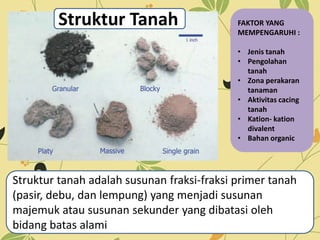 Keterkaitan Sifat Fisika Kimia Biologi Tanah | PPTX