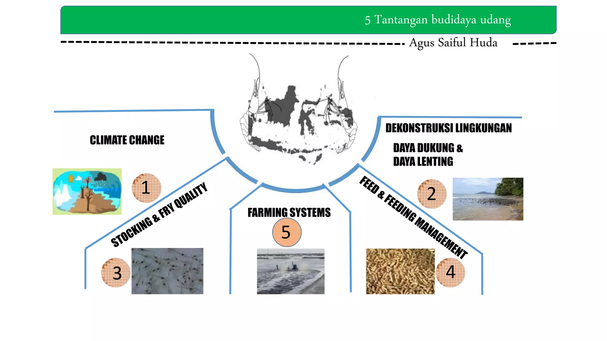 Menimbang SIstem Budidaya Udang Berkelanjutan | PPT | Free Download