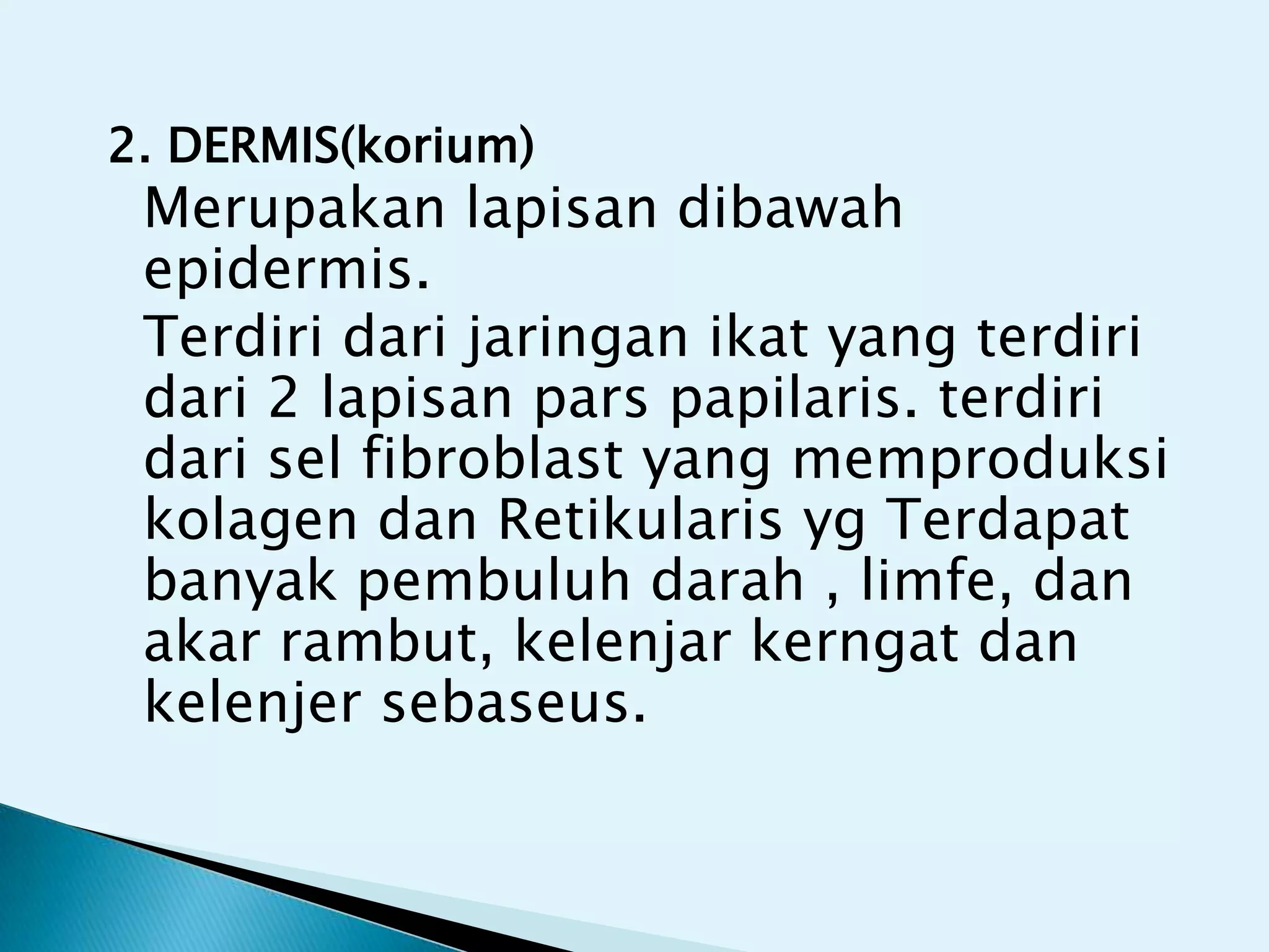 Presentasi Sistem Integumen Ppt 