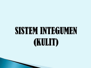 Presentasi sistem integumen | PPTX