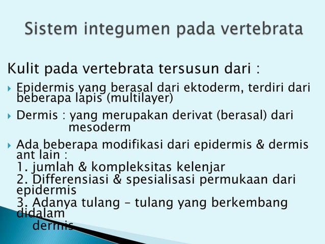 Presentasi sistem integumen | PPTX