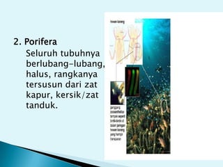 Presentasi sistem integumen | PPTX