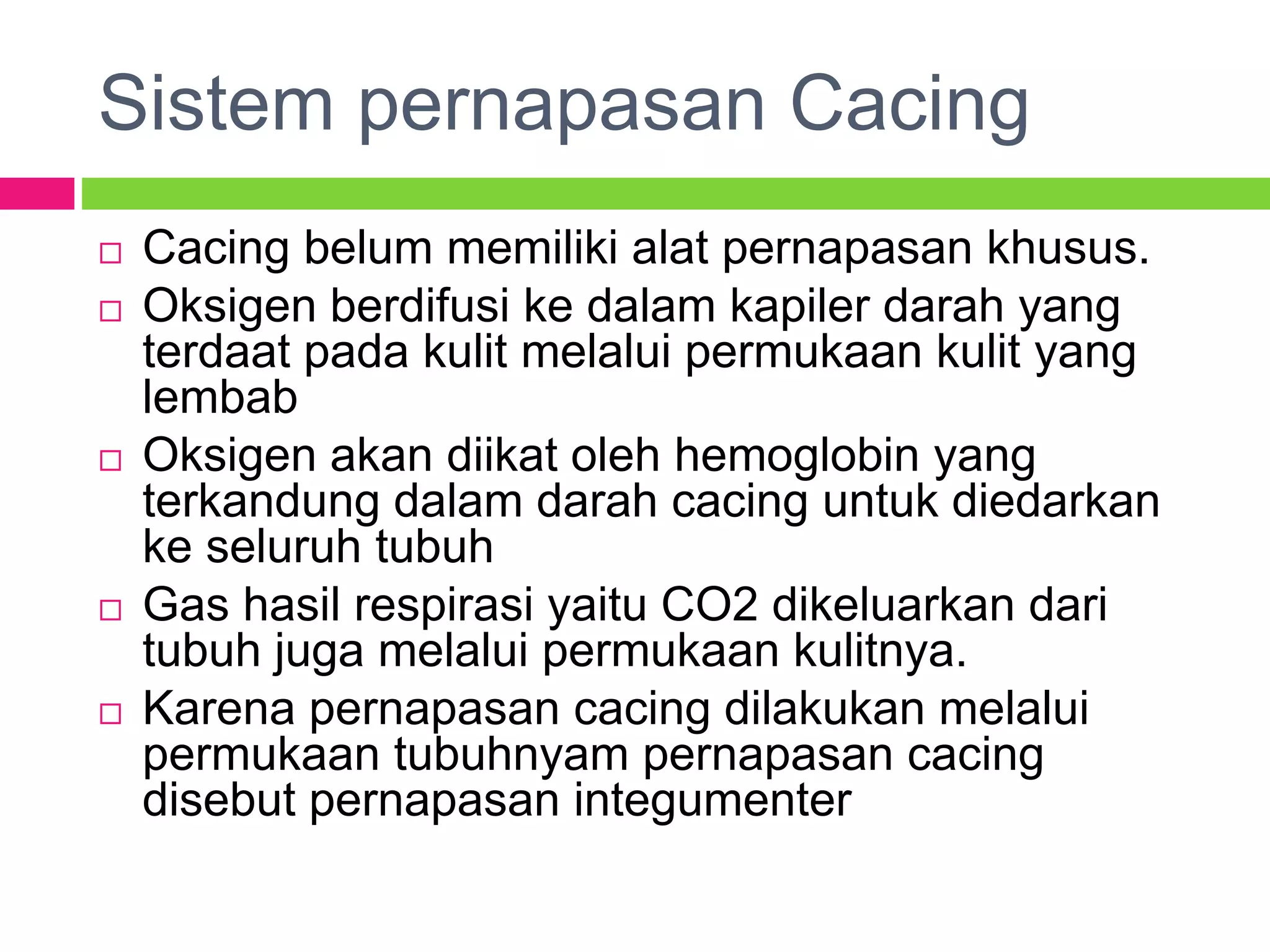 Presentasi sistem pernapasan | PPTX